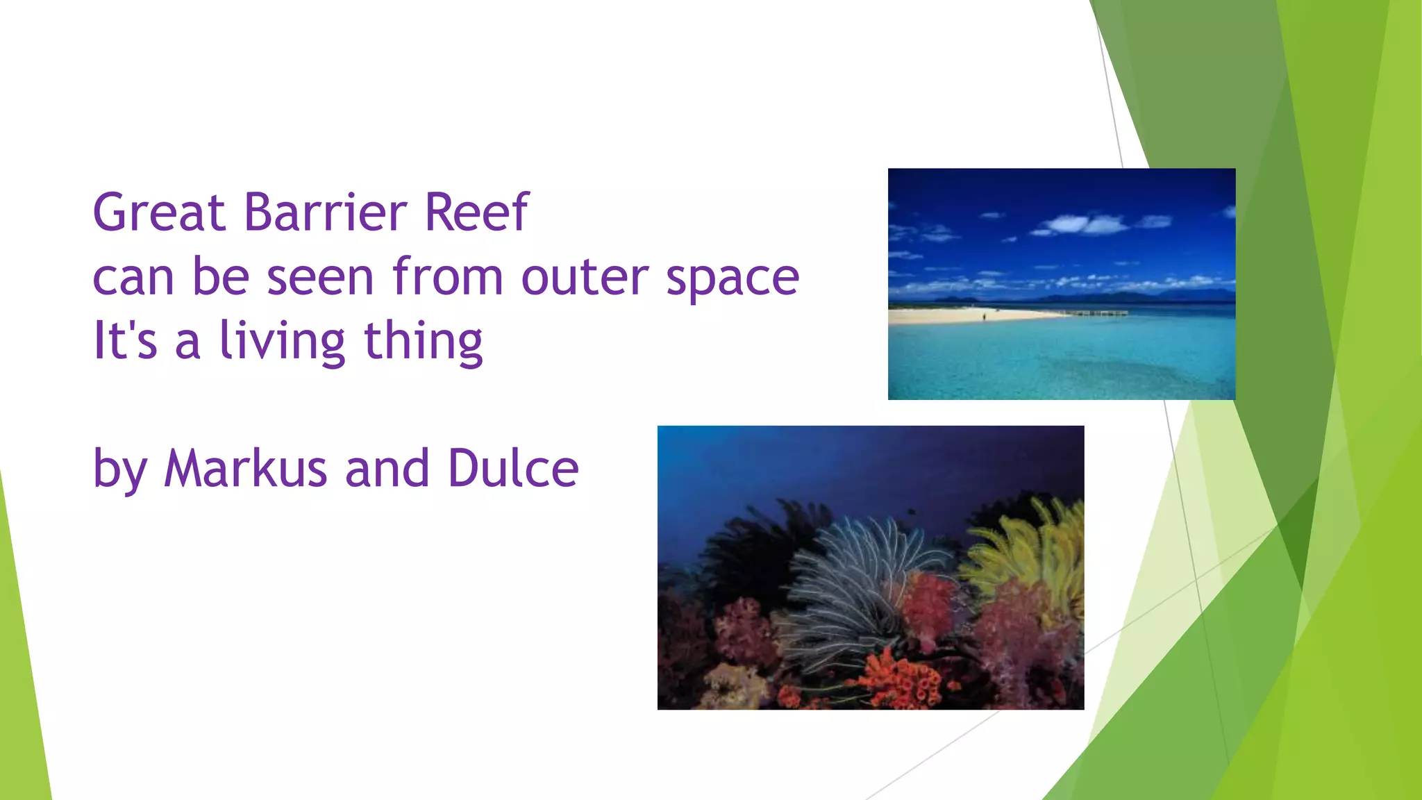Haiku poetry | PPT