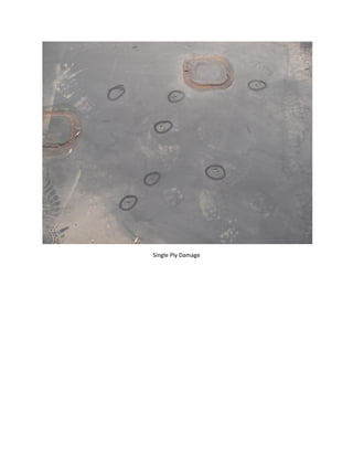 Hail Damage | PDF