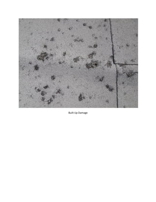 Hail Damage | PDF