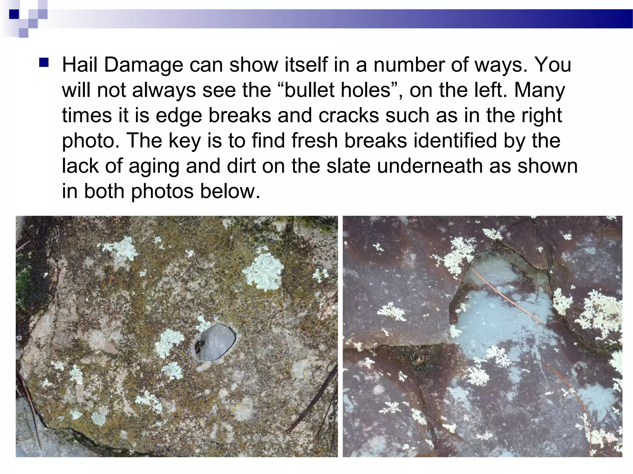 Insurance Claims for Hail on Slate Roofs | PPT