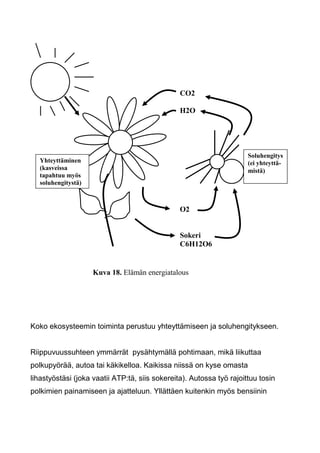 Haima, insuliini, glukagoni ja sokeritauti | PDF