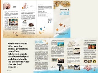 "Ocean, Home of Love", a marine turtle advocacy event | PPT | Reptiles ...