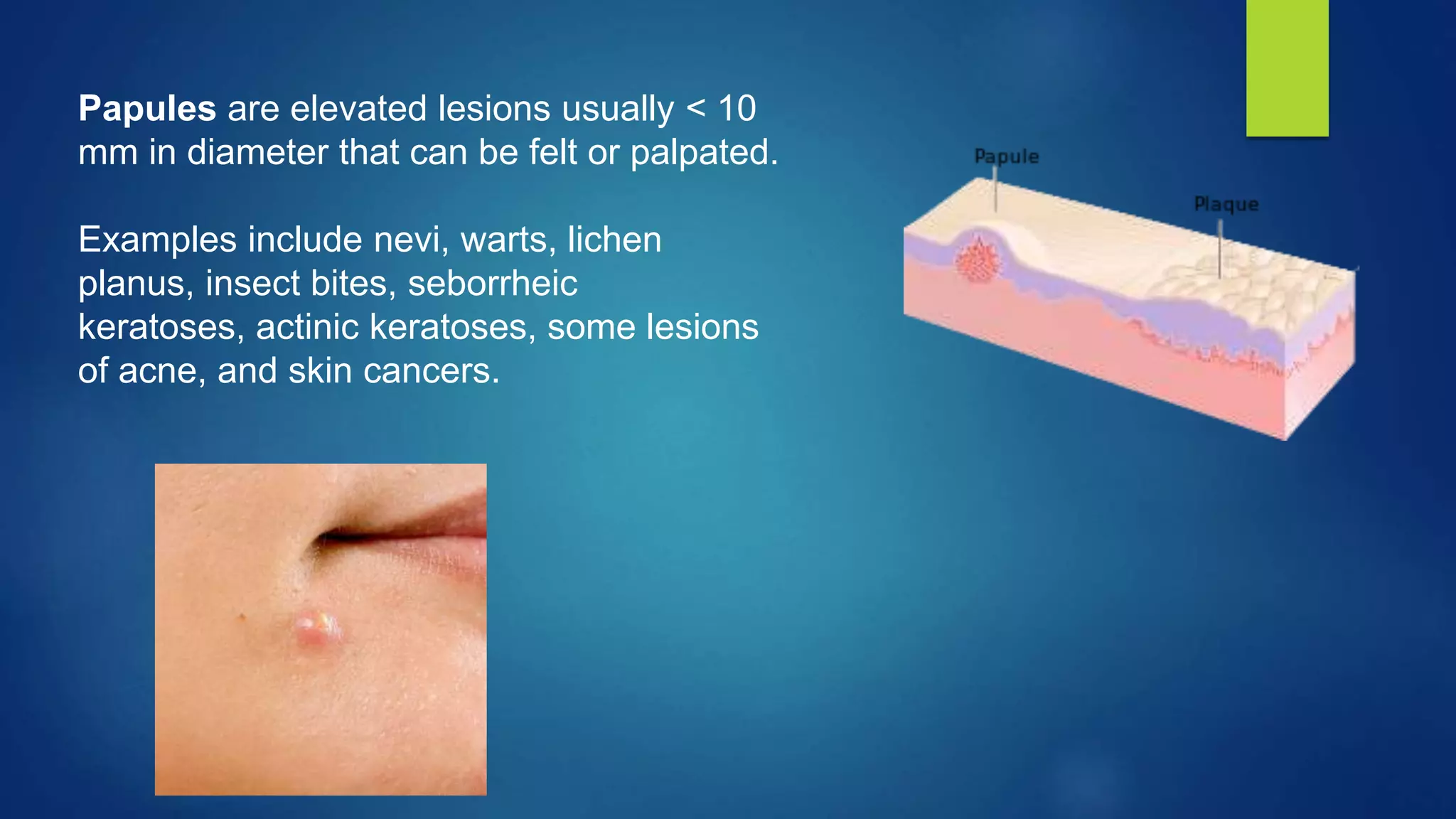 HEALTH ASSESSMENT intro to PHYSICAL ASSESSMENT and IPPA 2021 | PPTX