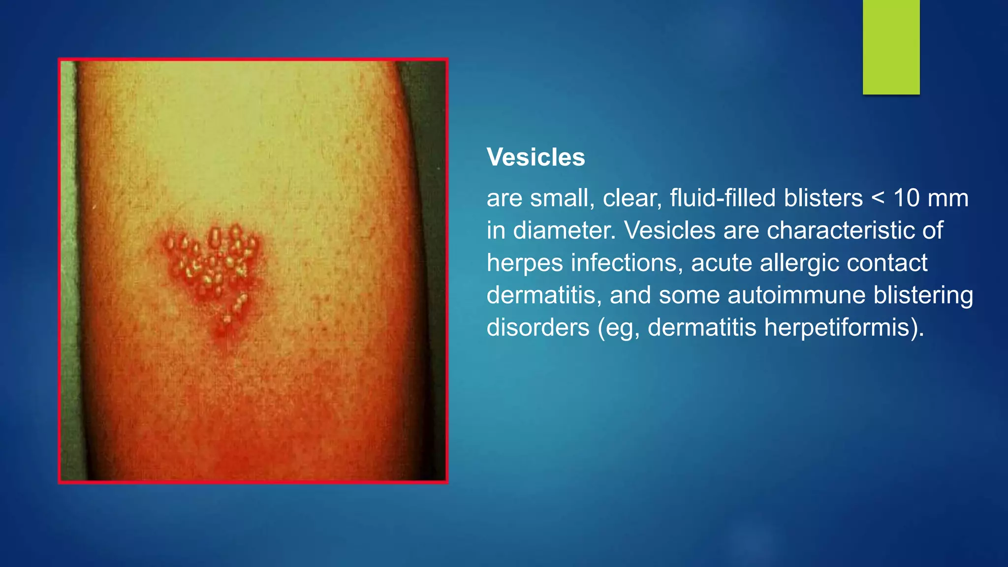 HEALTH ASSESSMENT intro to PHYSICAL ASSESSMENT and IPPA 2021 | PPTX