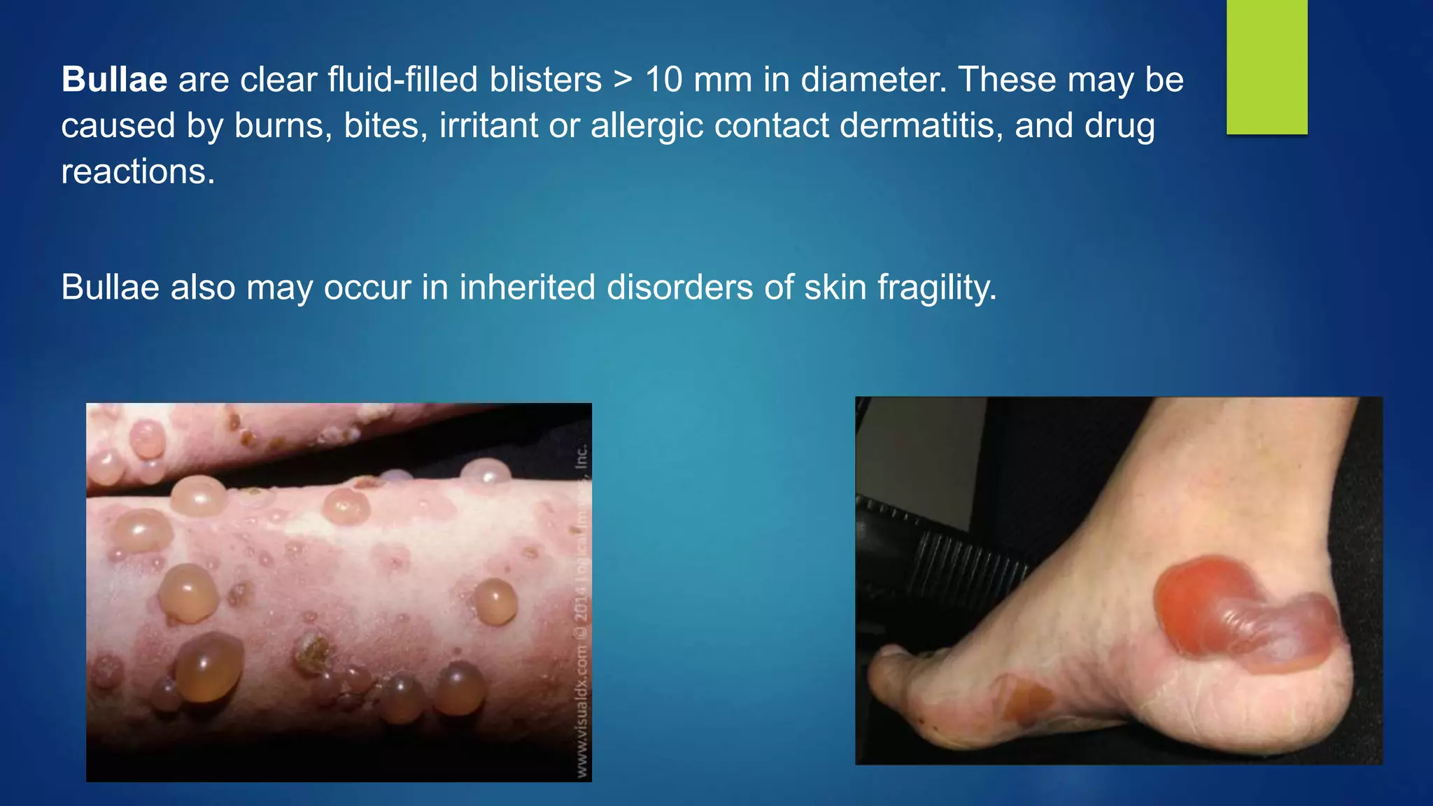 HEALTH ASSESSMENT intro to PHYSICAL ASSESSMENT and IPPA 2021 | PPTX