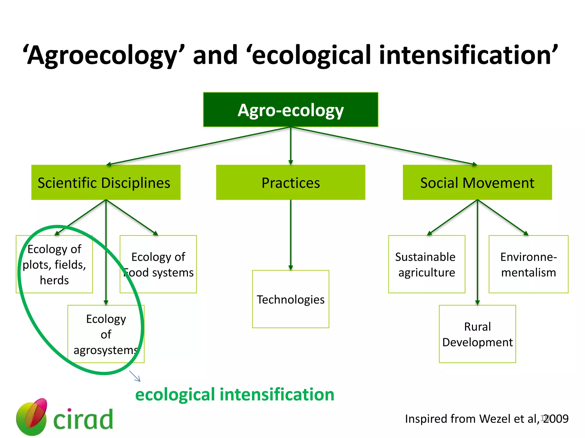 Enhancing the roles of ecosystem services in agriculture ...