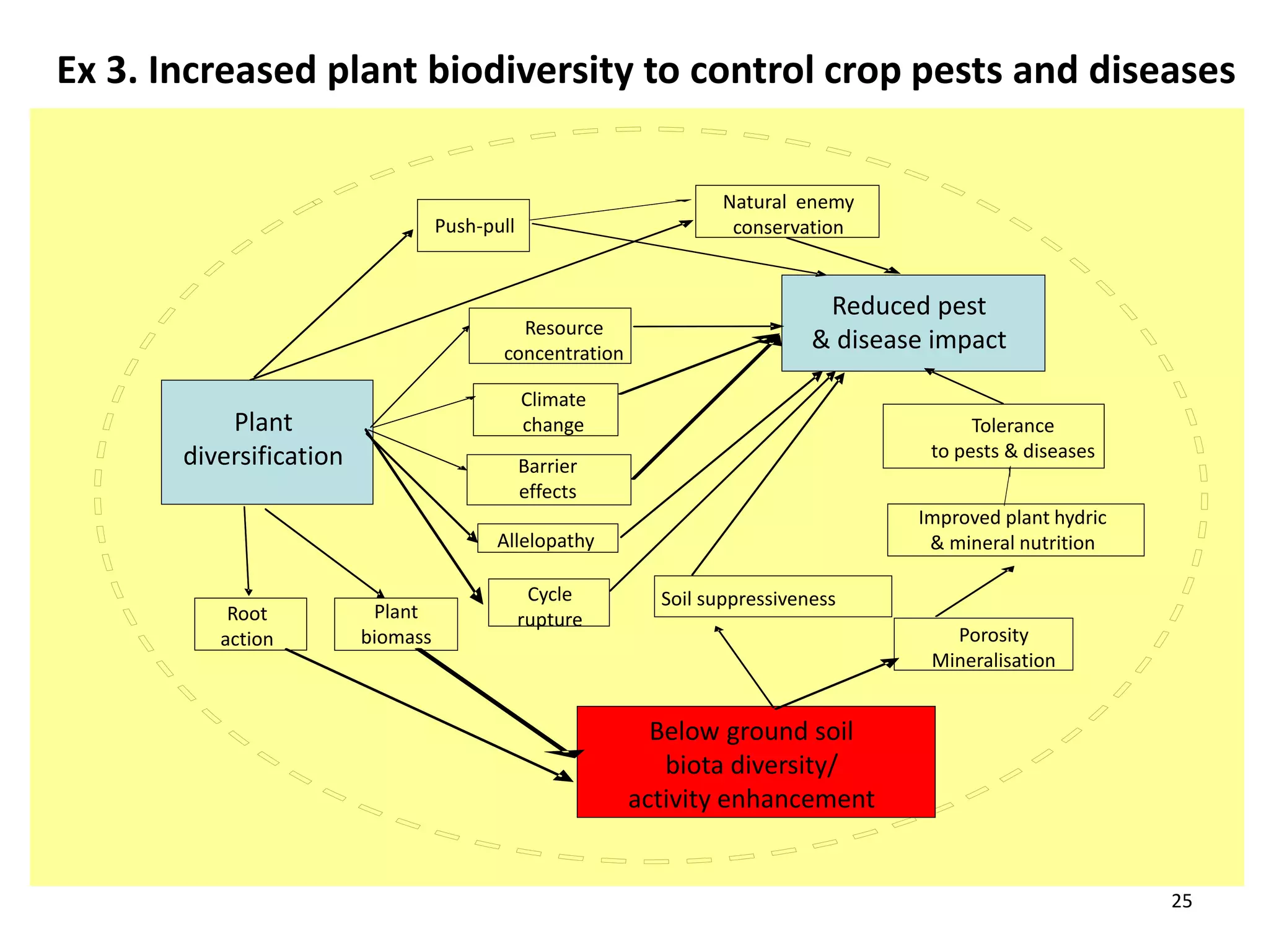 Enhancing the roles of ecosystem services in agriculture ...