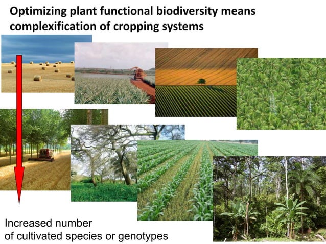 Enhancing the roles of ecosystem services in agriculture ...