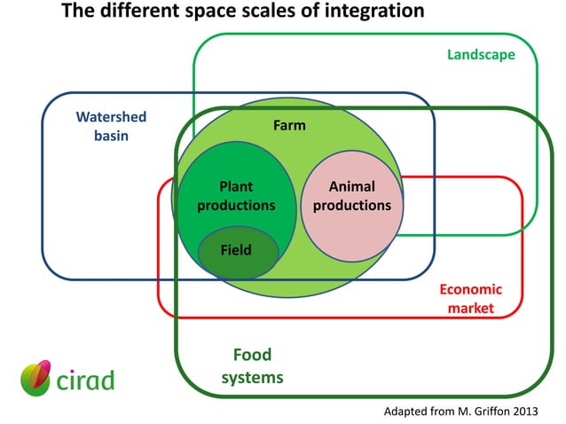 Enhancing the roles of ecosystem services in agriculture ...
