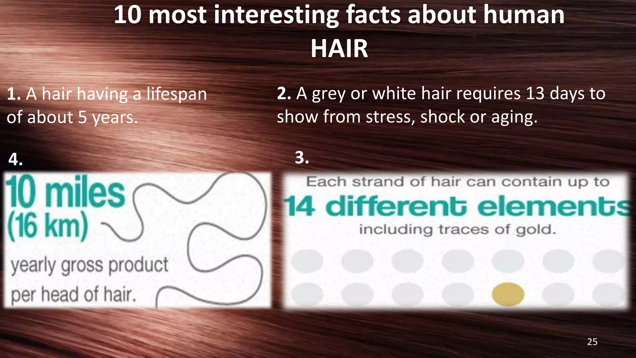 Hair | PPSX | Skin and Dermatology | Diseases and Conditions