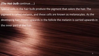 Hair | PPSX