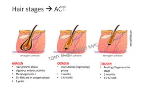 HAIR DERMATOLOGY REVISION NOTES | PDF
