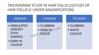 HAIR DERMATOLOGY REVISION NOTES | PDF