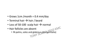 HAIR DERMATOLOGY REVISION NOTES | PDF