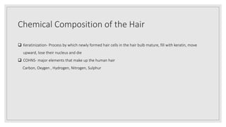 Hair | PPTX