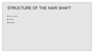 Hair | PPTX