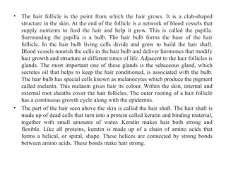 Hair, structure, growth and different parts | PPTX