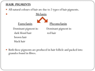 Hair Graying | PDF