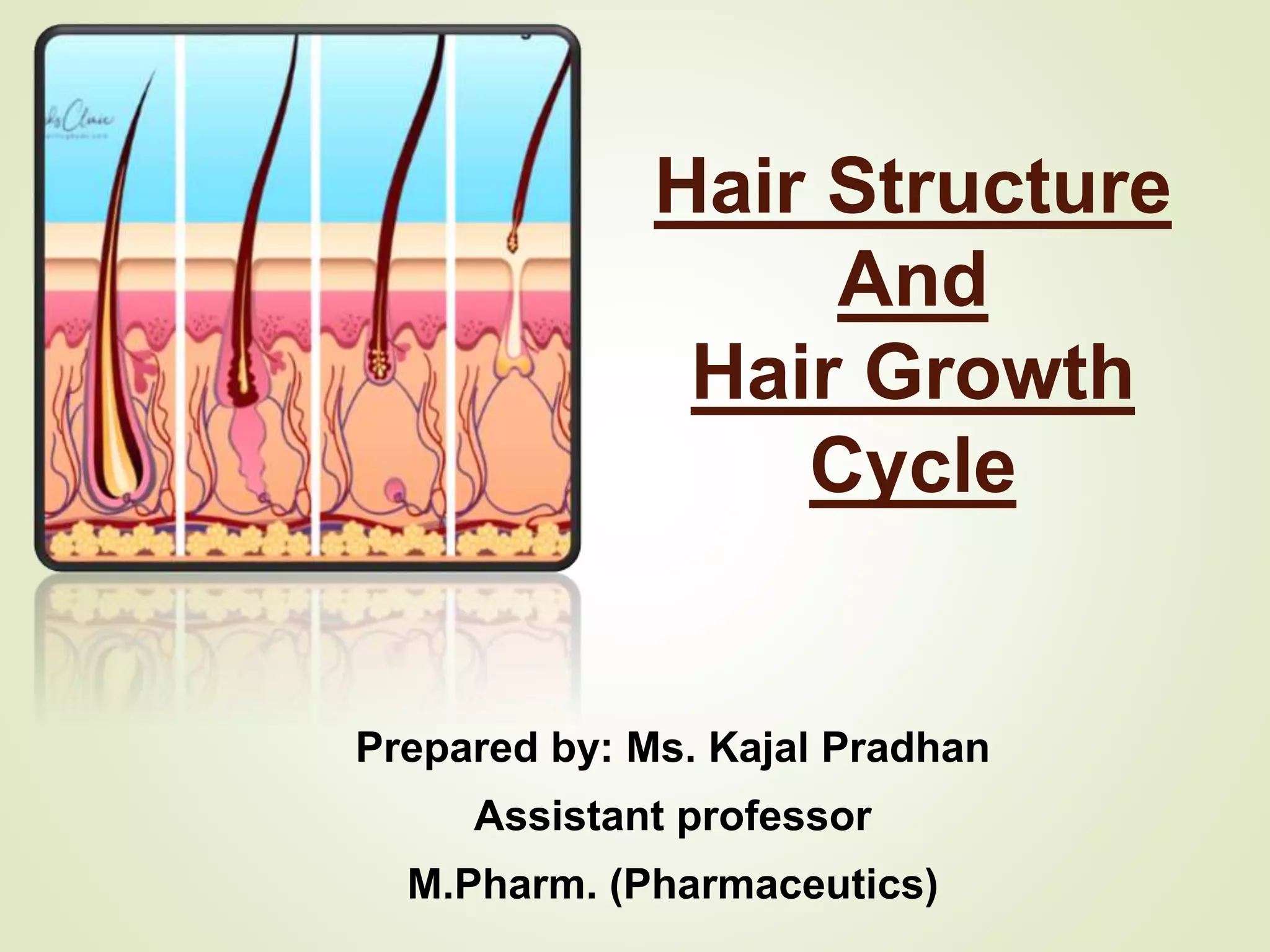 Hair sturcture and hair cycle | PPTX