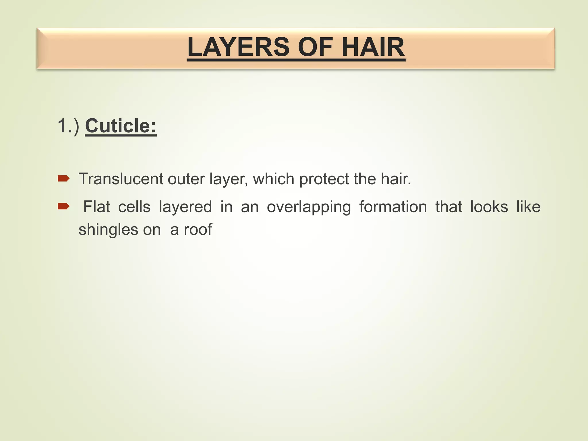 Hair sturcture and hair cycle | PPTX
