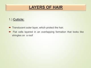 Hair sturcture and hair cycle | PPTX