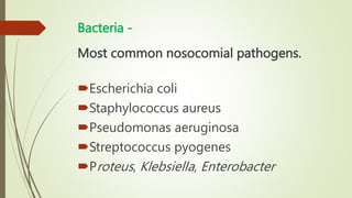 Hospital Acquired Infection | PPTX | Infectious Diseases | Diseases and ...