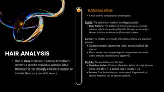 hair and fiber analysis - Forensic Science | PDF