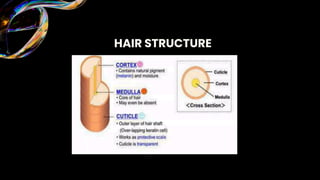 hair and fiber analysis - Forensic Science | PDF