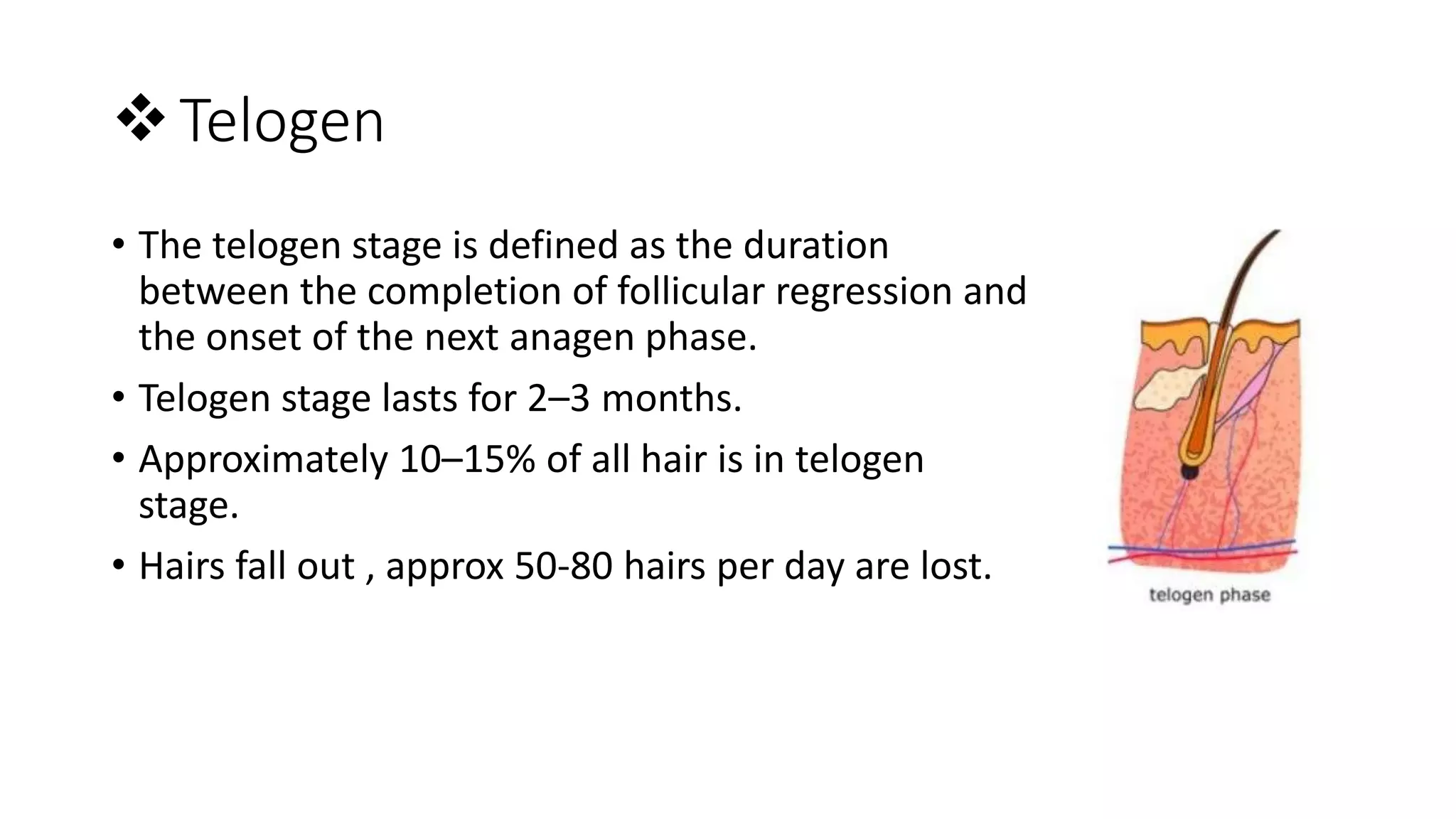 Hair and hair growth cycle | PPTX