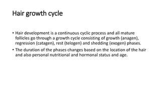 Hair and hair growth cycle | PPTX