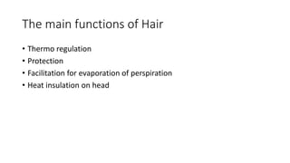 Hair and hair growth cycle | PPTX