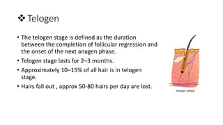 Hair and hair growth cycle | PPT