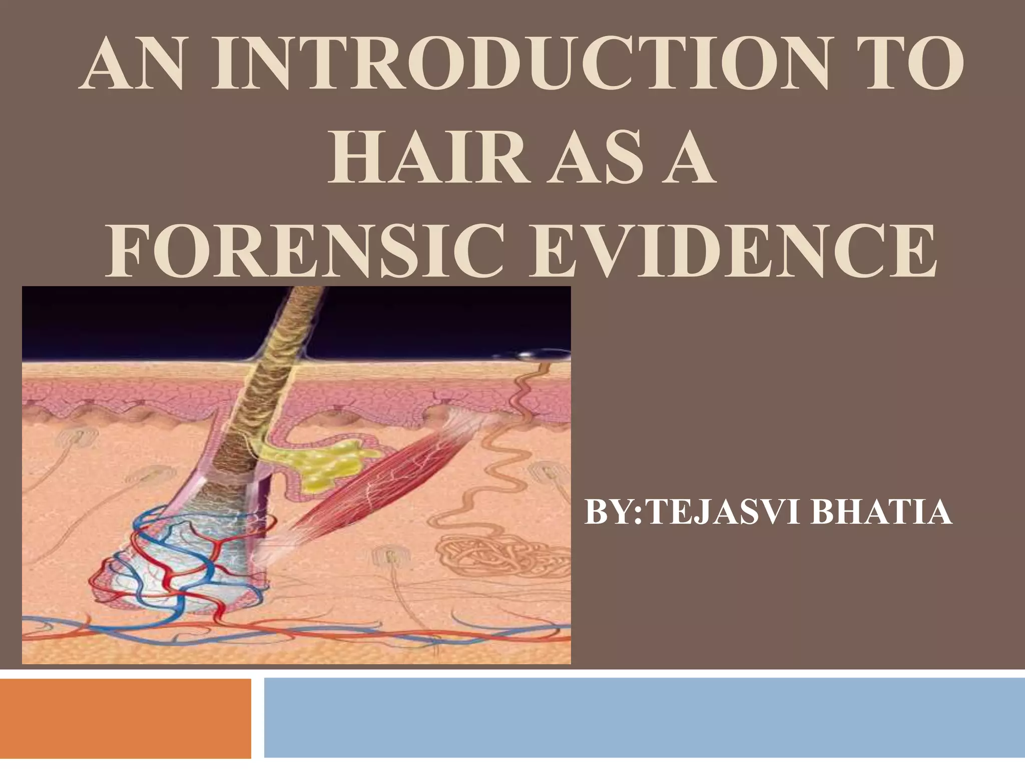 Hair as a forensic evidence | PPT