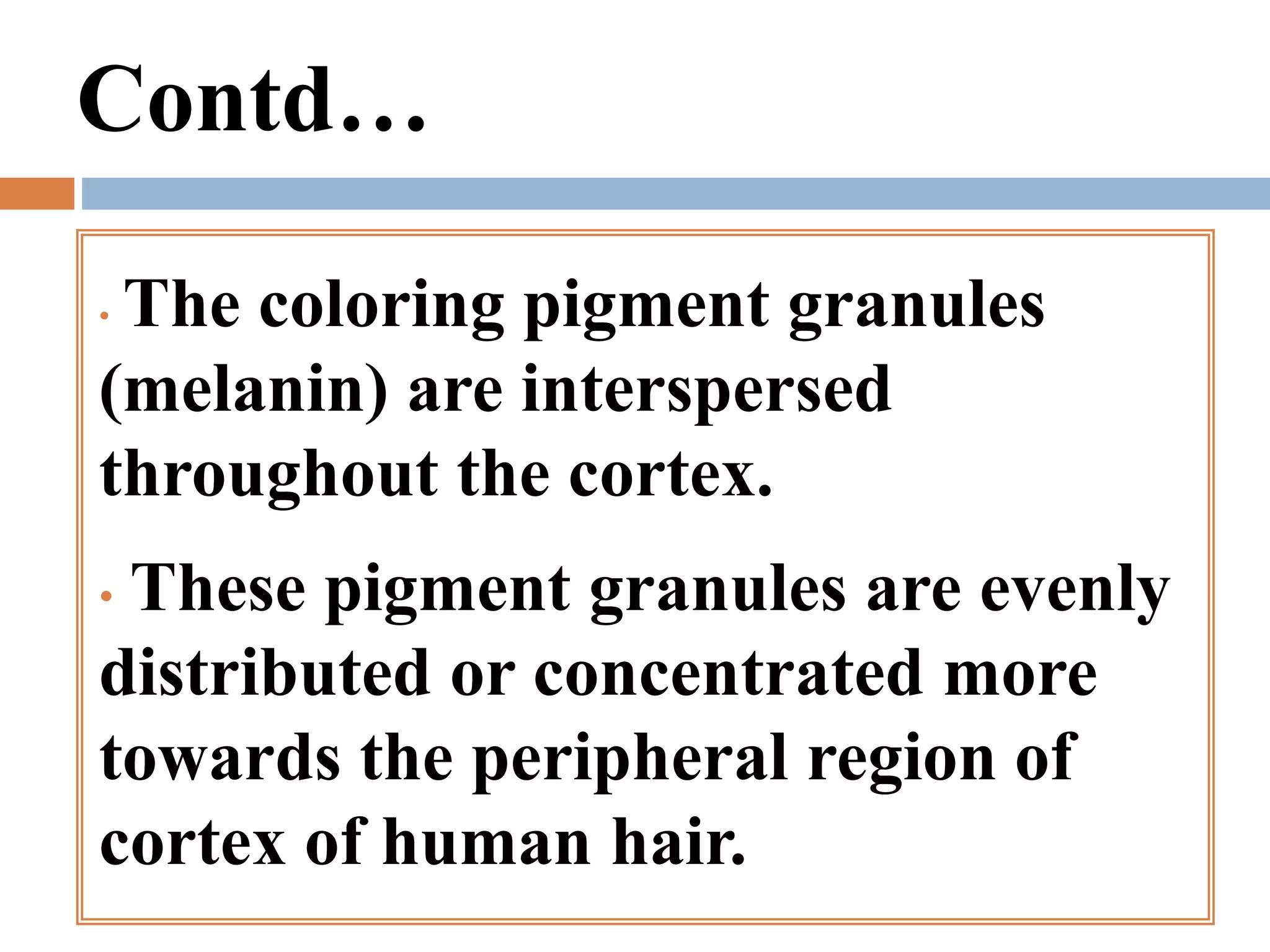 Hair as a forensic evidence | PPT