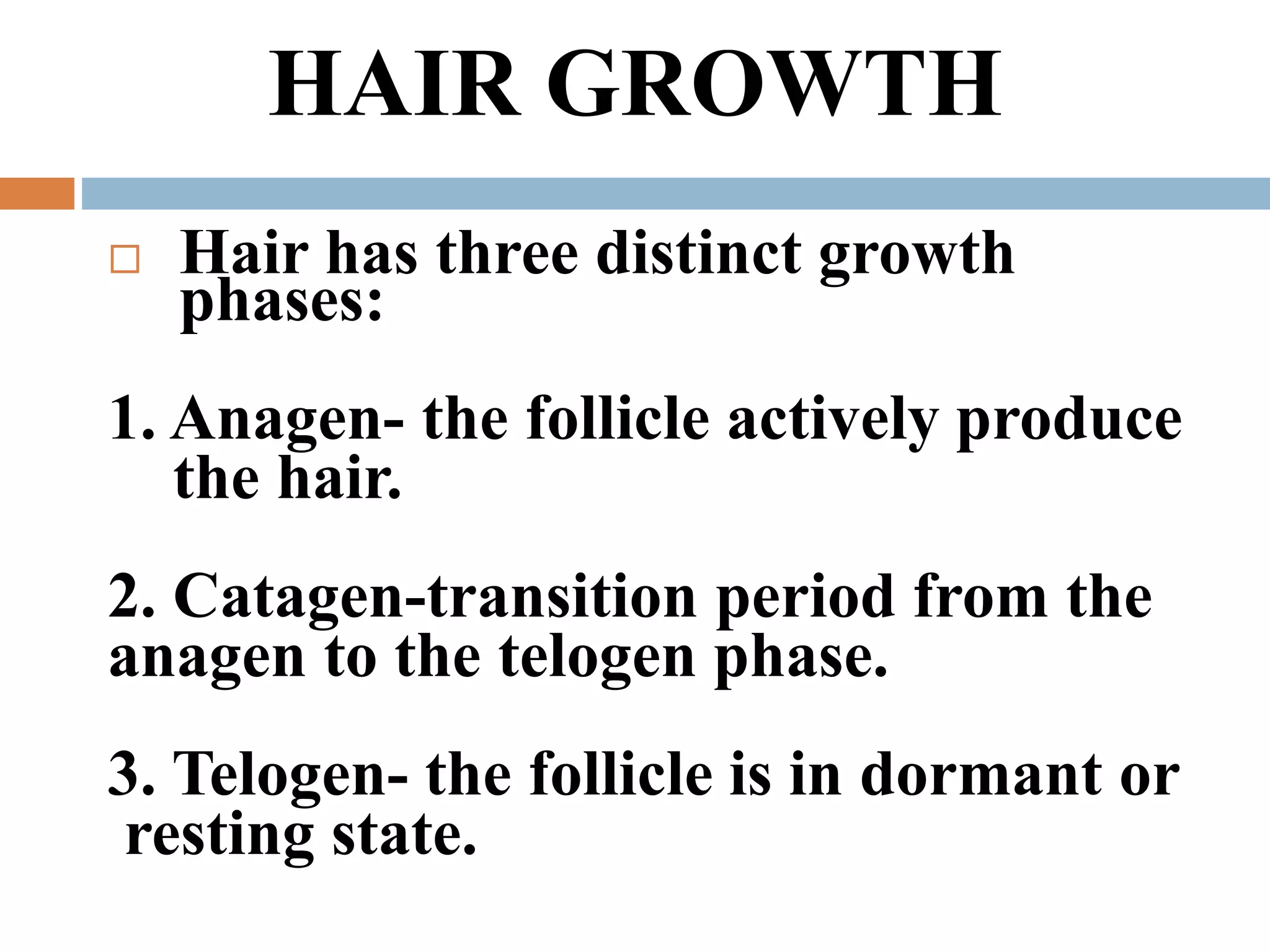 Hair as a forensic evidence | PPT