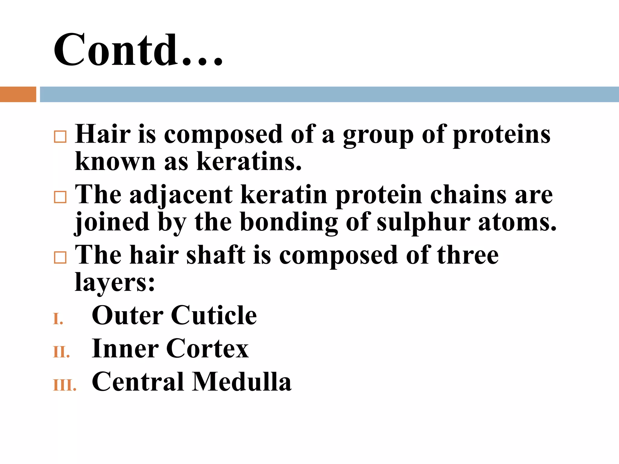 Hair as a forensic evidence | PPT