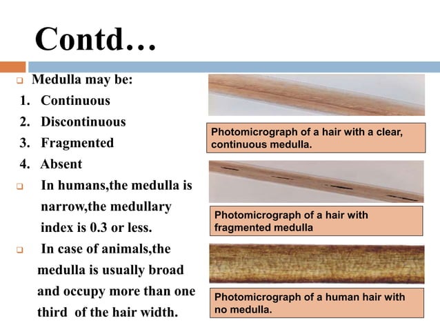 Hair as a forensic evidence | PPT