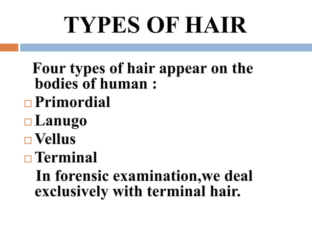 Hair as a forensic evidence | PPT
