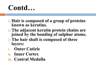Hair as a forensic evidence | PPT