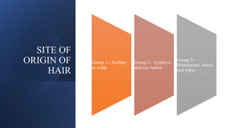 HAIR AS A FORENSIC EVIDENCE: stricture of hair, hair growt, forensic ...