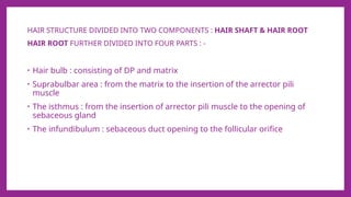 Hair Basics....INTRODUCTION TO HAIR LOSS | PPTX