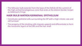 Hair Basics....INTRODUCTION TO HAIR LOSS | PPTX