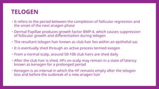 Hair Basics....INTRODUCTION TO HAIR LOSS | PPTX