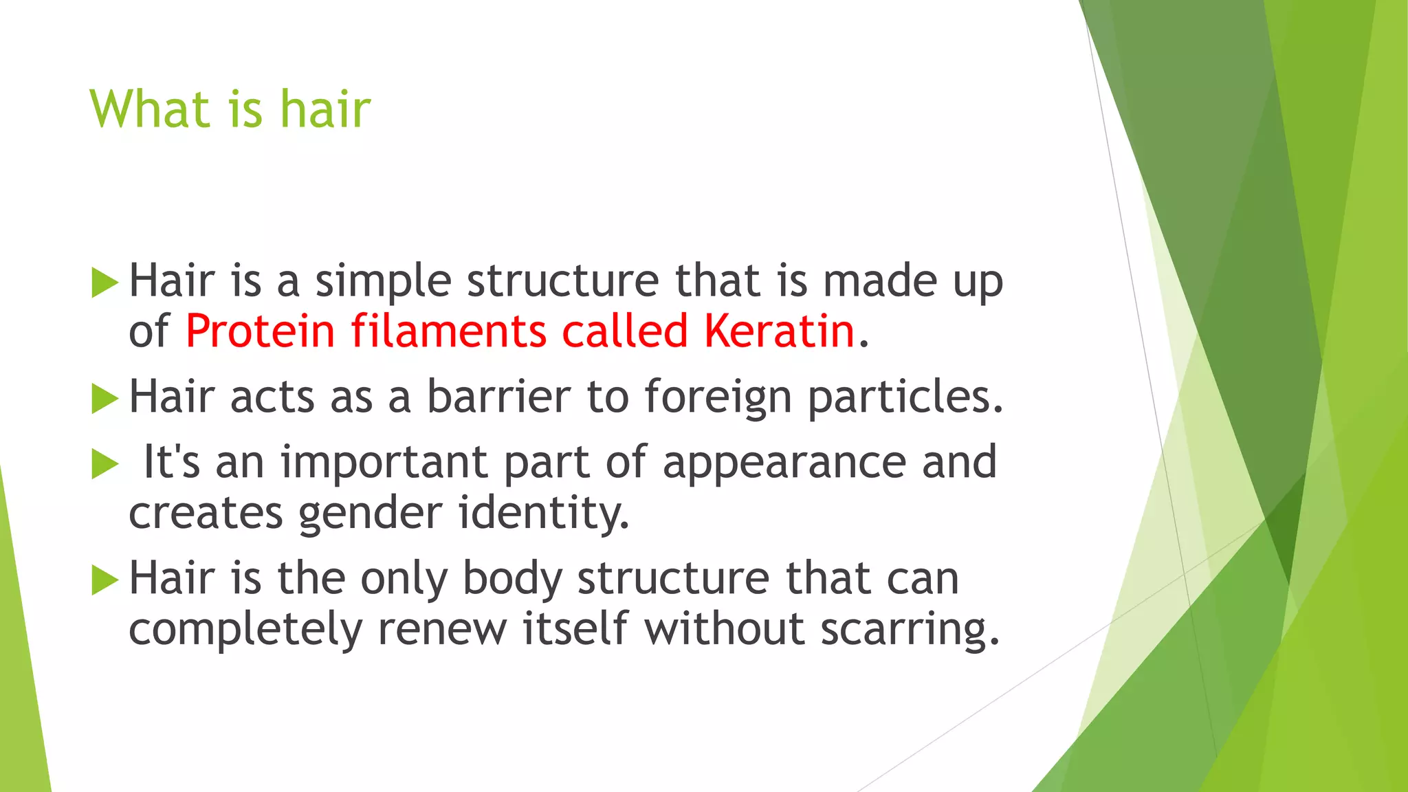Hair biology | PPTX