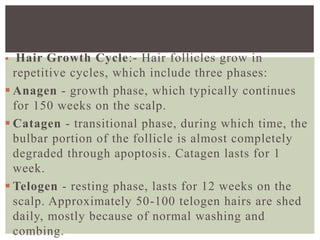Hair care | PPT
