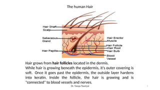 hair care and how ro manage the hair type.pptx
