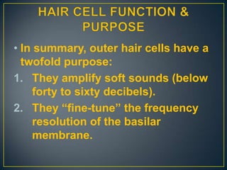 Hair cell function and purpose | PPTX