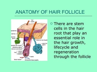Hair cloning | PPT