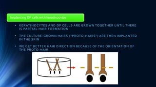 Hair cloning | PPTX