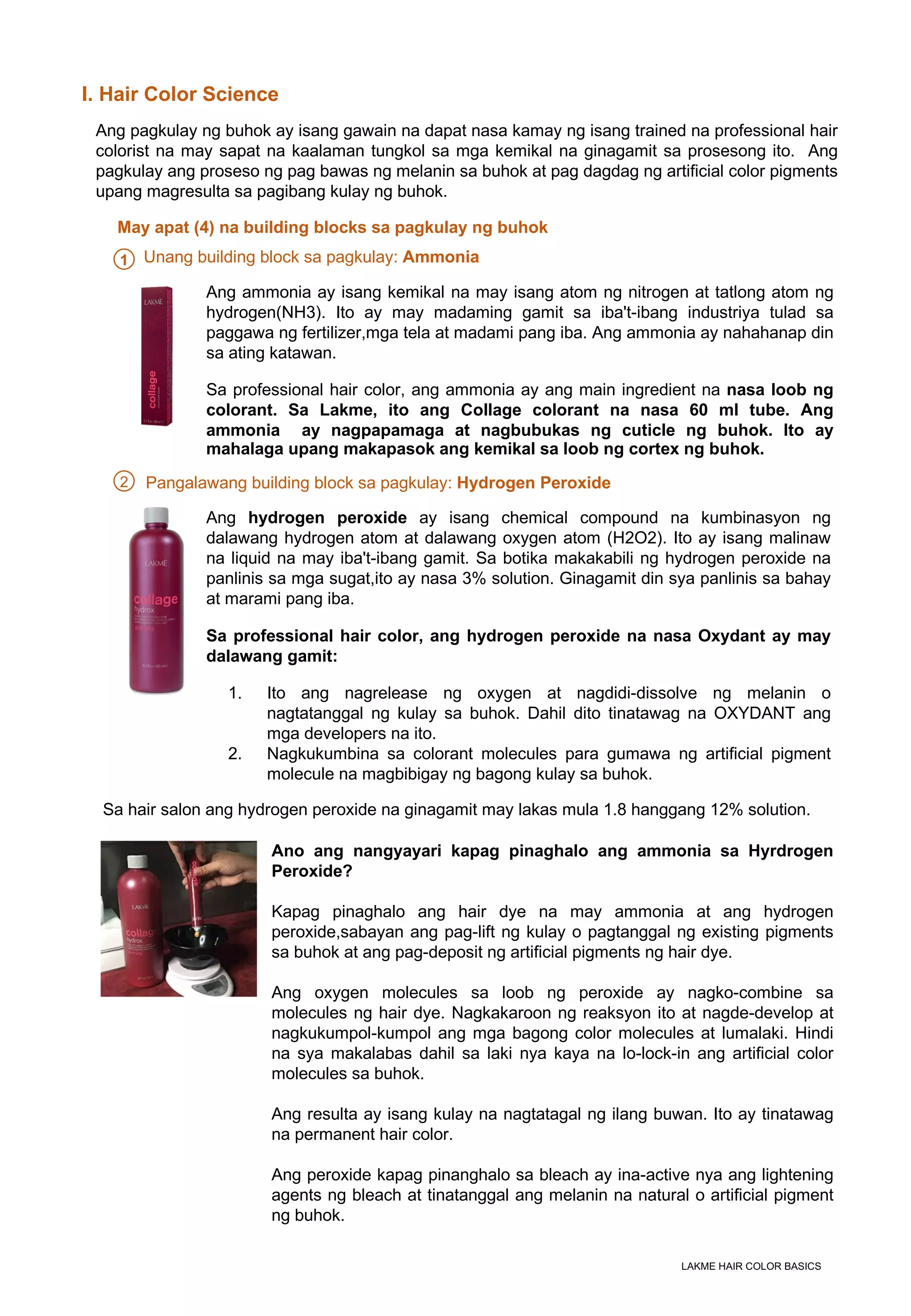 Hair Color Basics | PDF